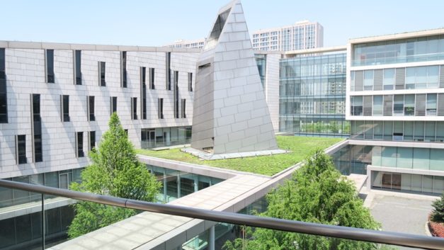 EGO – The Story Behind the Brand – Tools In Action – Power Tool Reviews